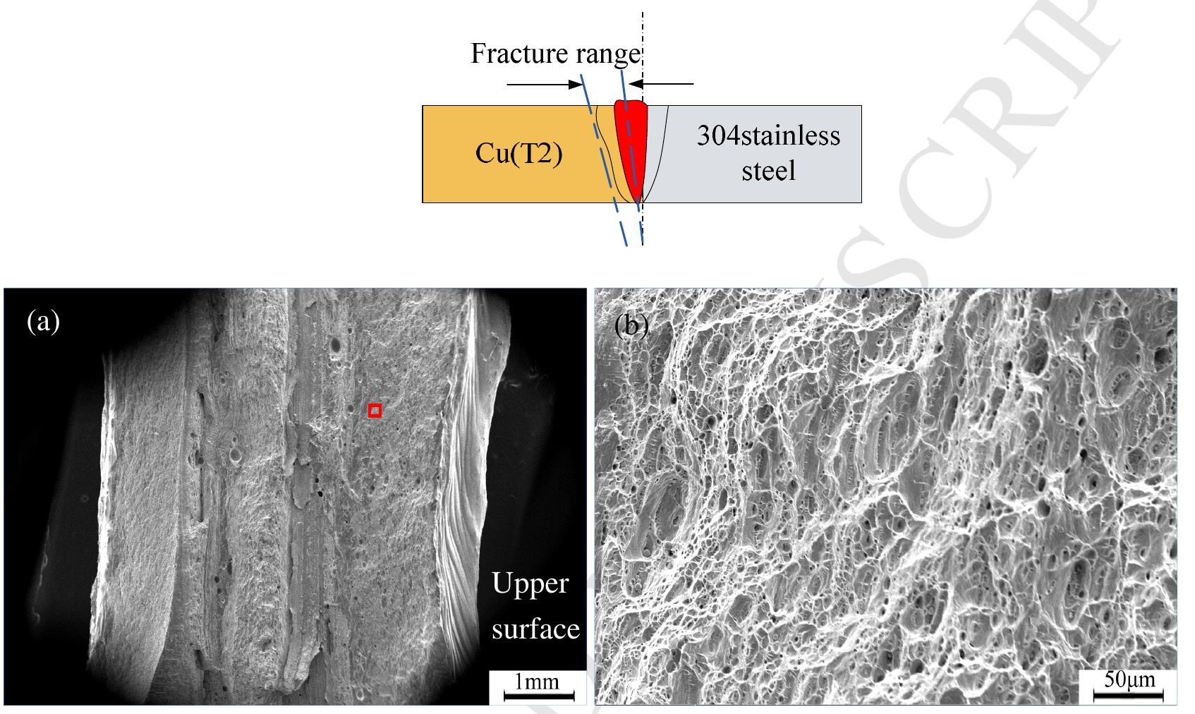 Fracture range and (a): morphology of tensile fracture; (b):