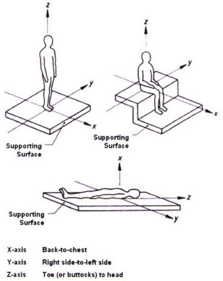 Human body coordinate system for identification of vibration