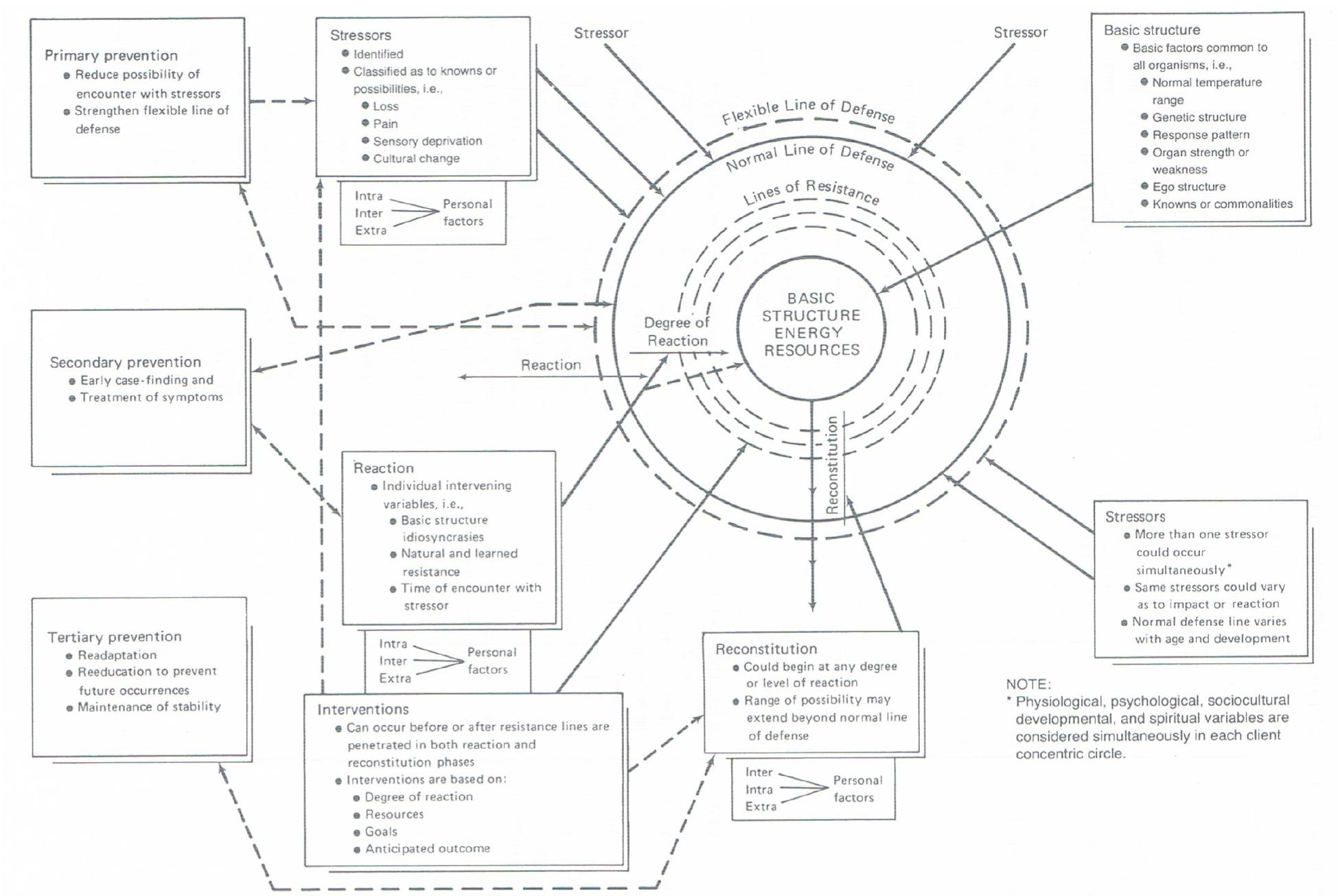 Neuman’s systems model