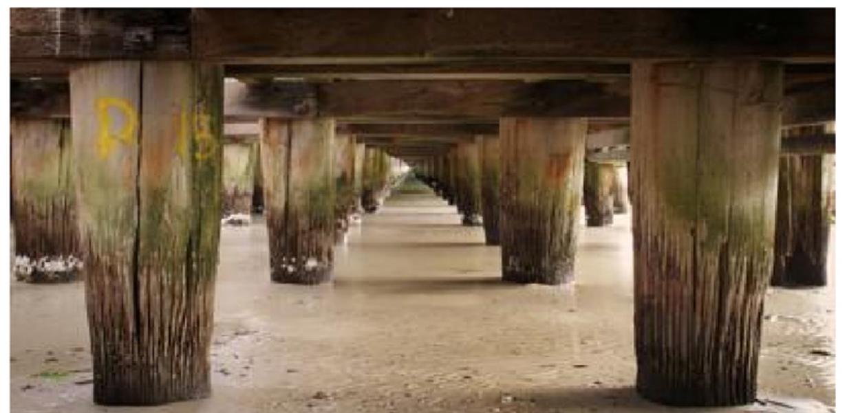(c) deterioration of timber piles (source: