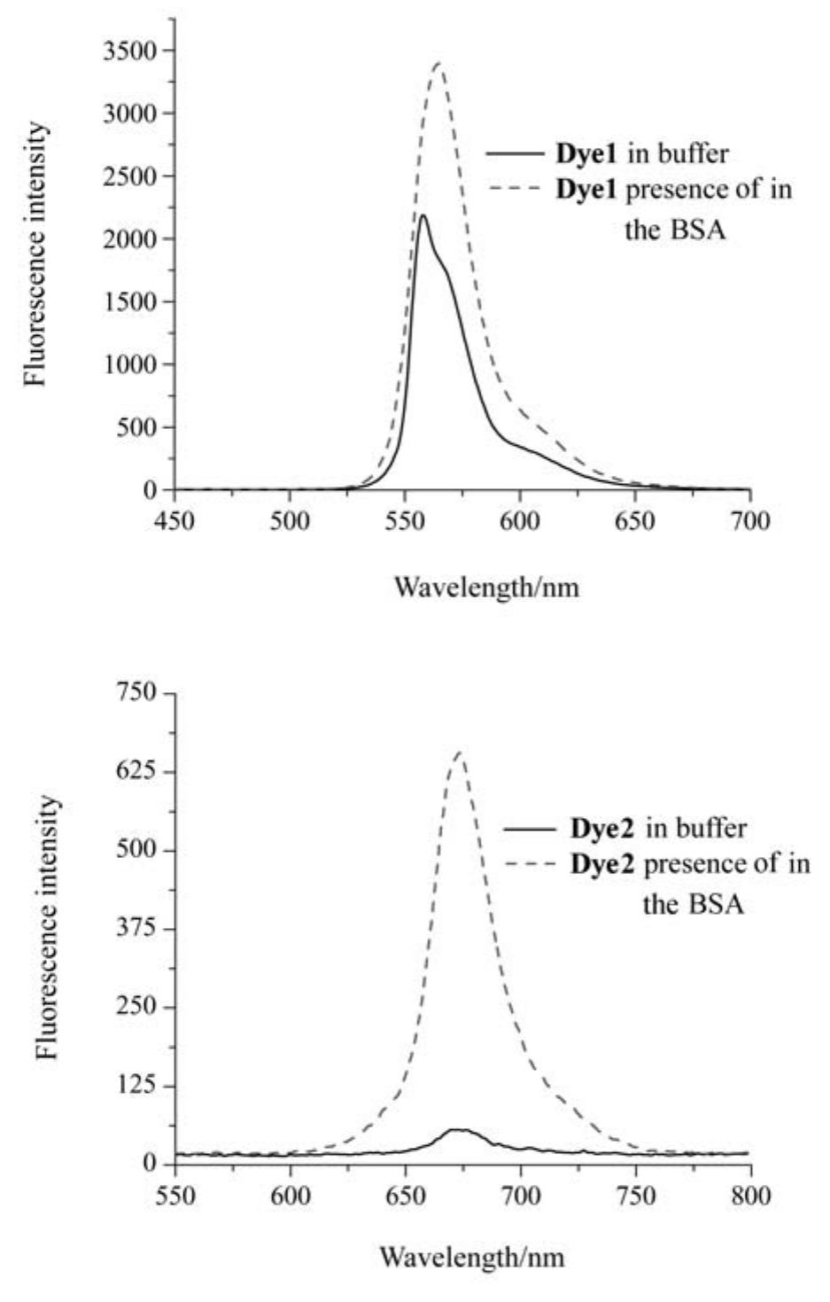 The fluorescence spectra of two dyes under optimum