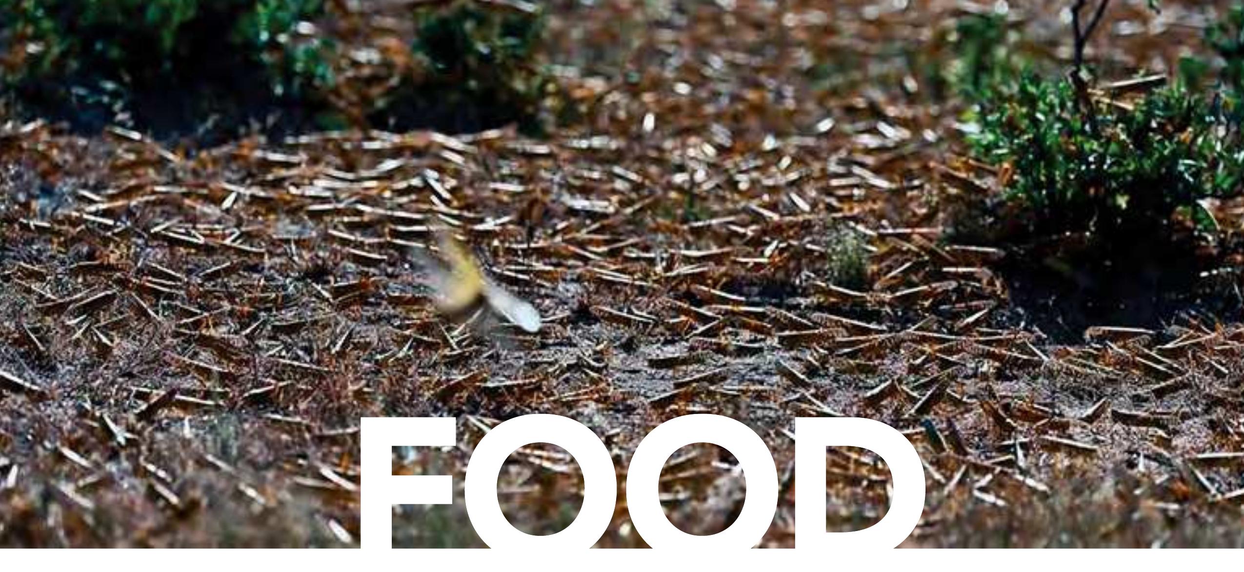 Securing food resources has long been an important issue for