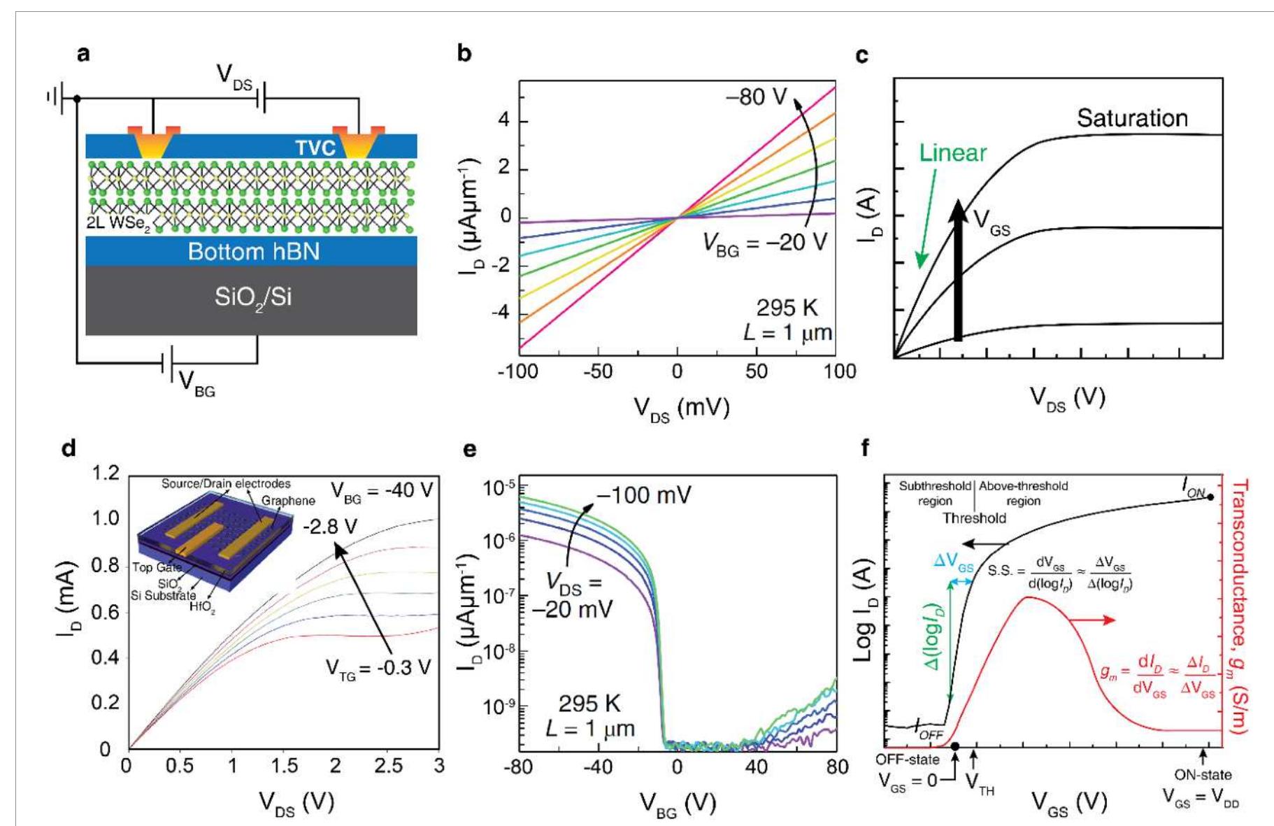 (a) schematic diagram of a typical back-gated bilayer wse,