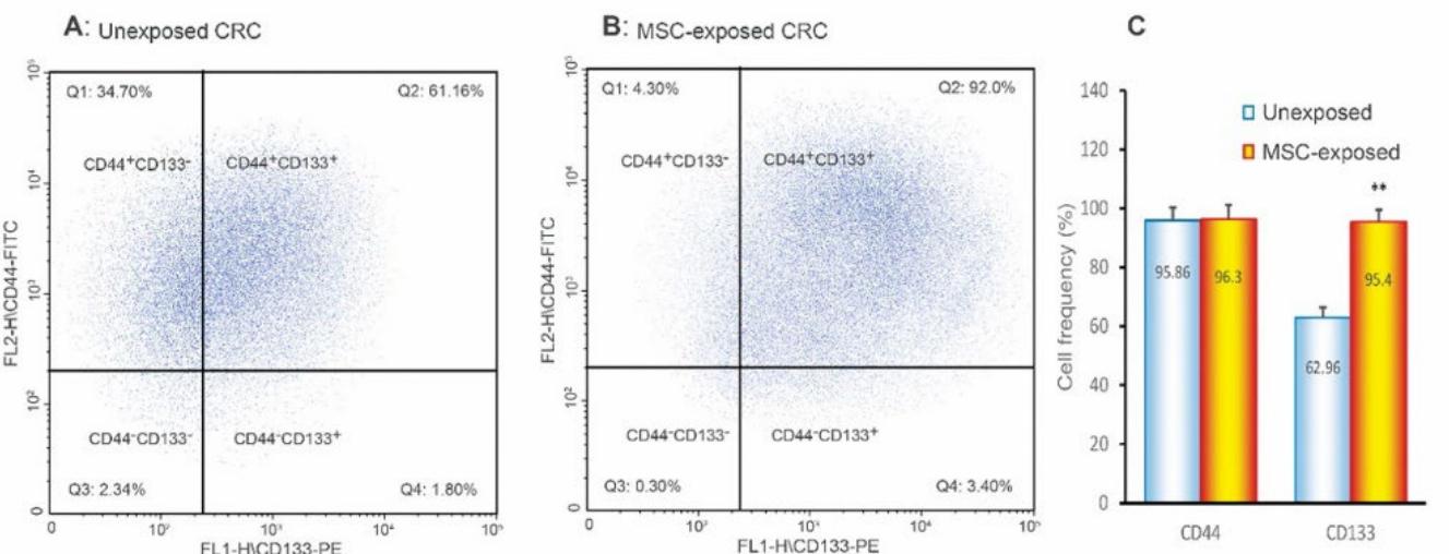 The frequency of cd44+ and cd133+ cells among ht-29 cells