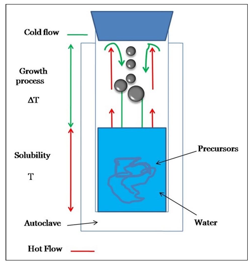 Schematic representation of hydrothermal growth of mos,