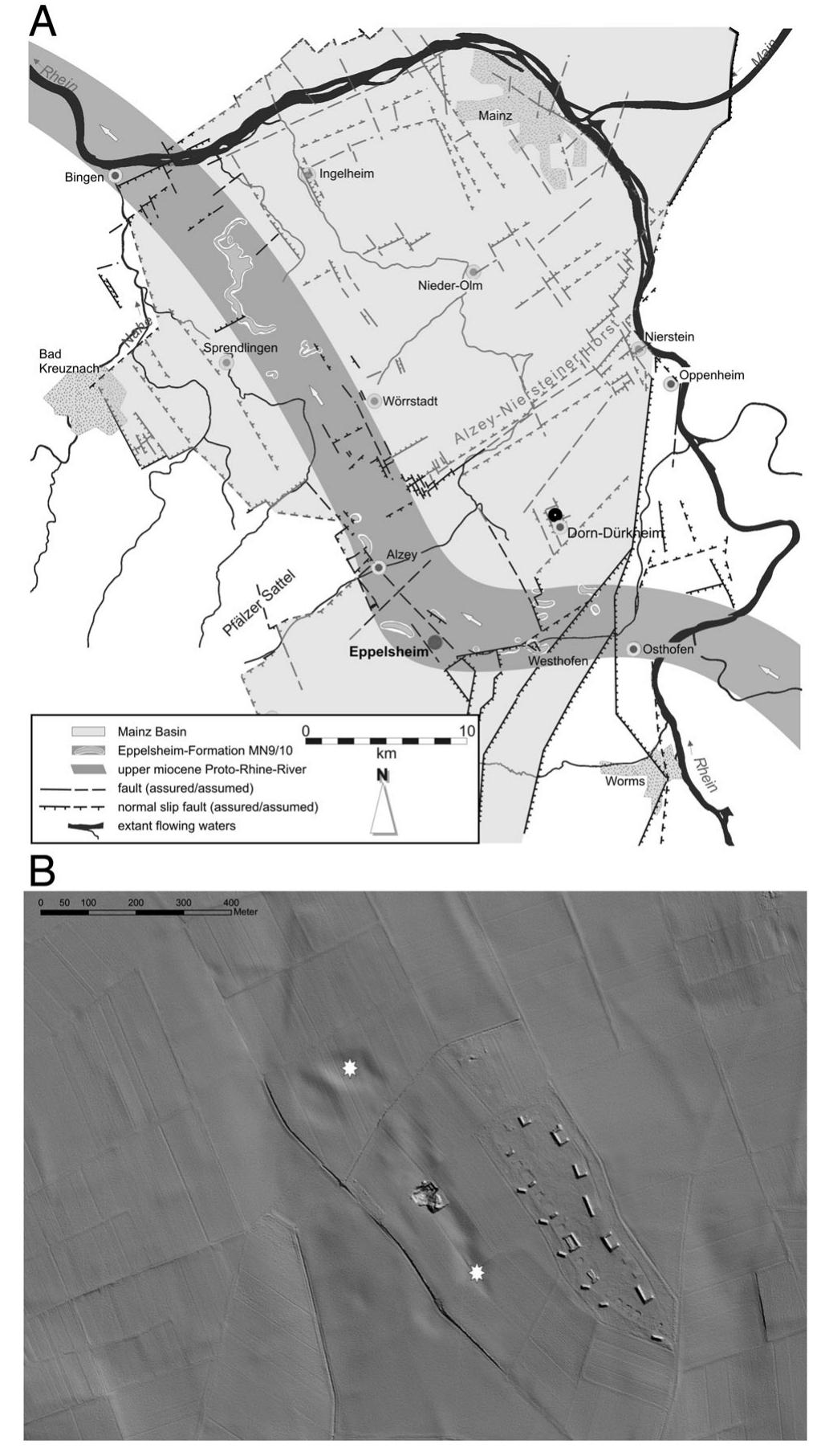 A, map of eppelsheim location within the eppelsheim for-