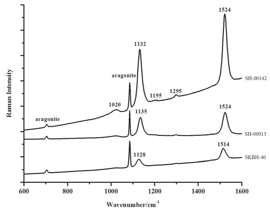 Raman spectra of pink areas on three shells from different