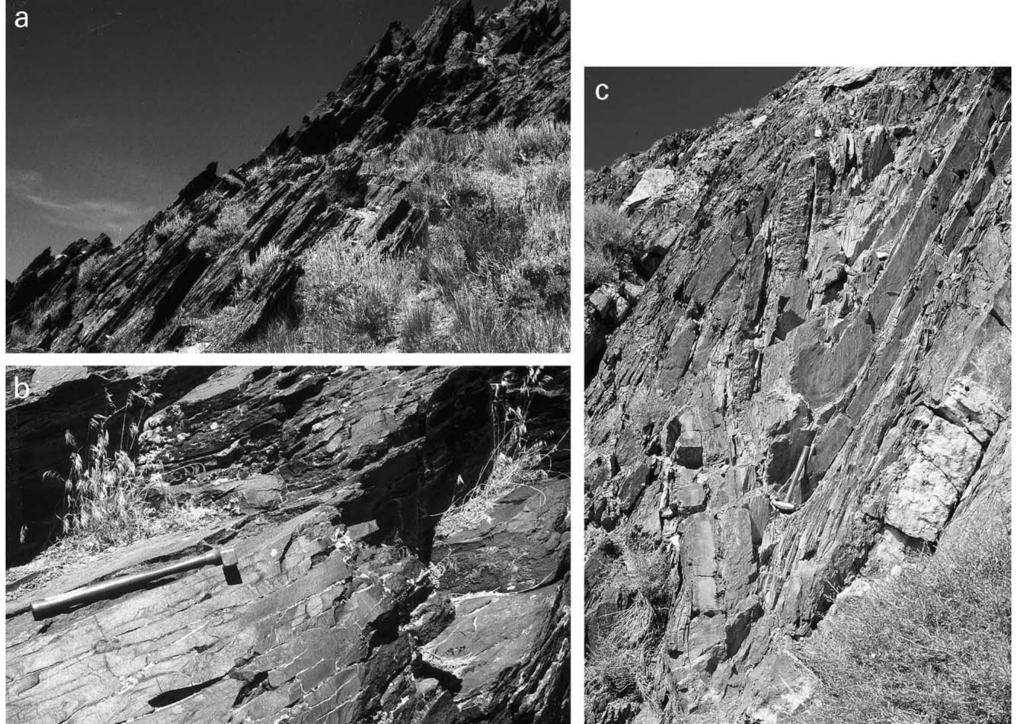 (a) typical continuous, slaty to phyllitic s, cleavage in