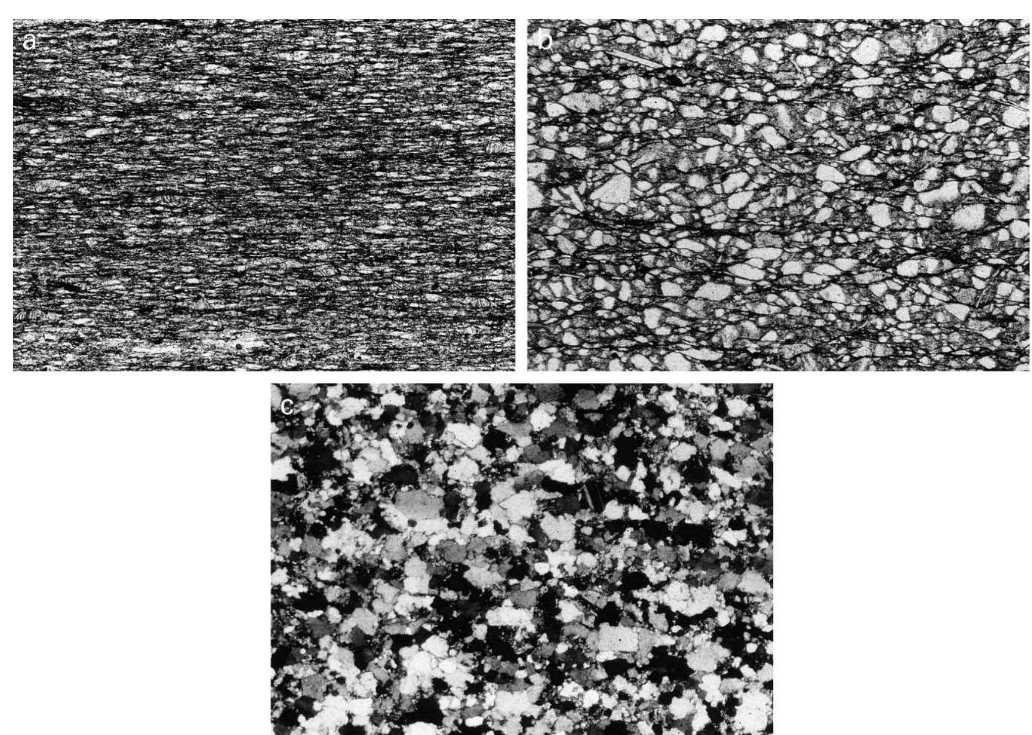 (a) photomicrograph (plain light) of typical s, cleavage in