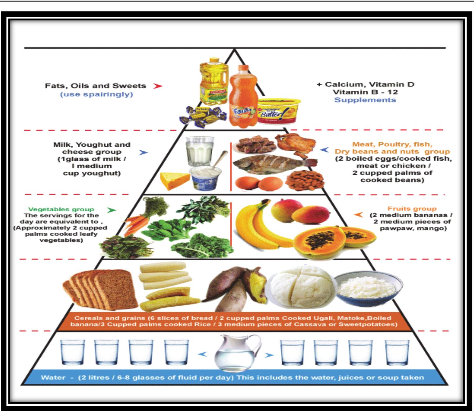Modified food pyramid diagram 9. the five food group