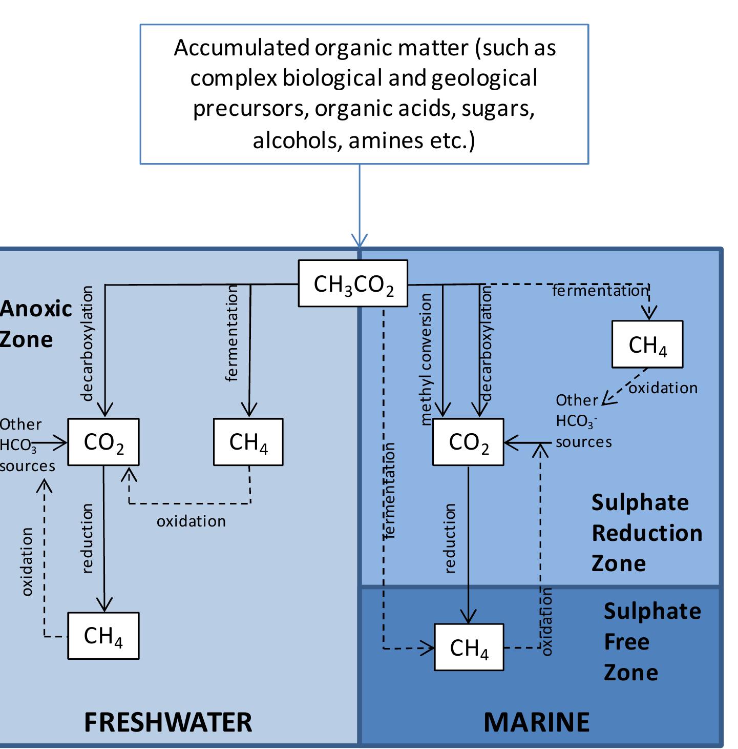 Schematic illustration of the pathways for the alteration of