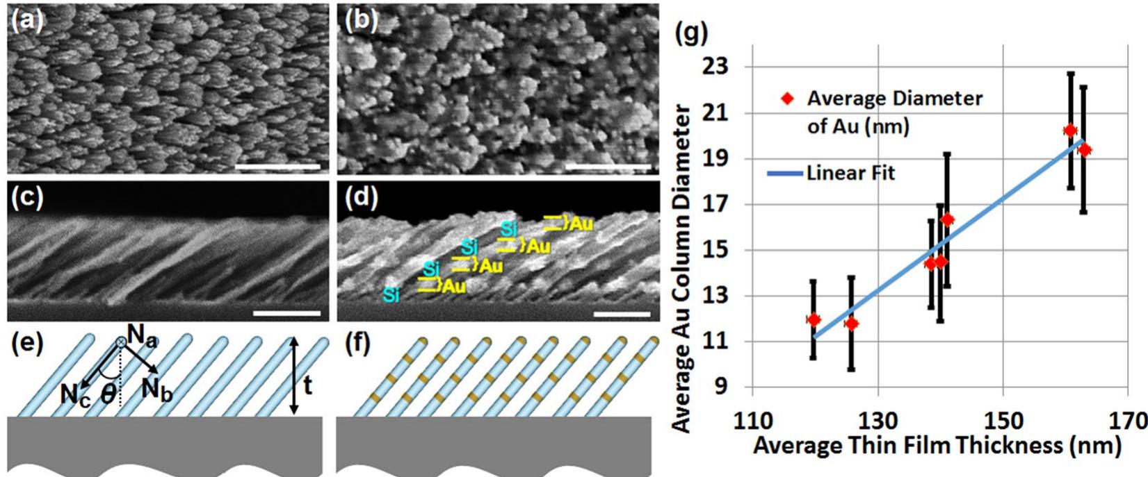 Top view (a,b) and cross section (c,d) hr-sem images, and