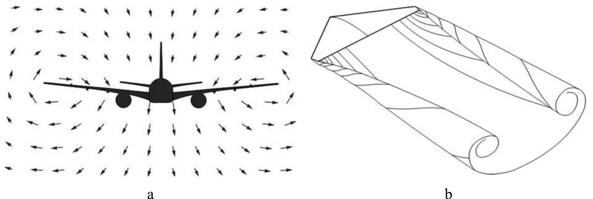 3: (a) flow pattern of the velocity (b) vortex sheet from