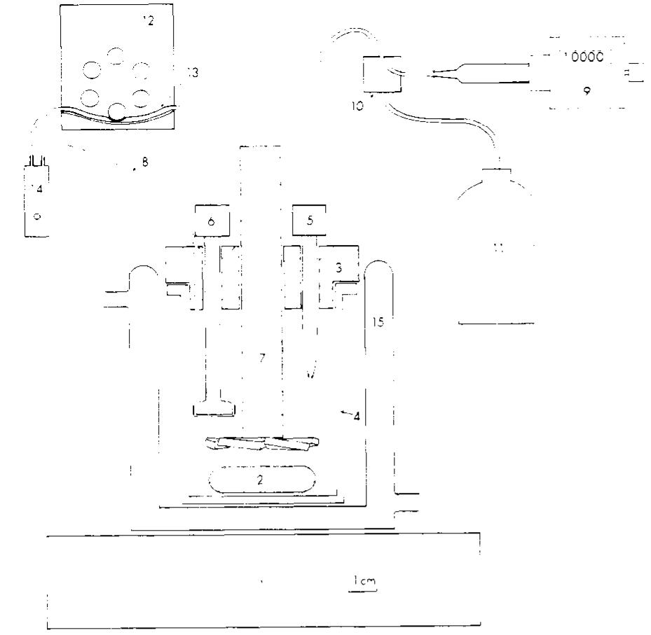 Diagram of the titration apparatus. (1) magnetic stirrer,