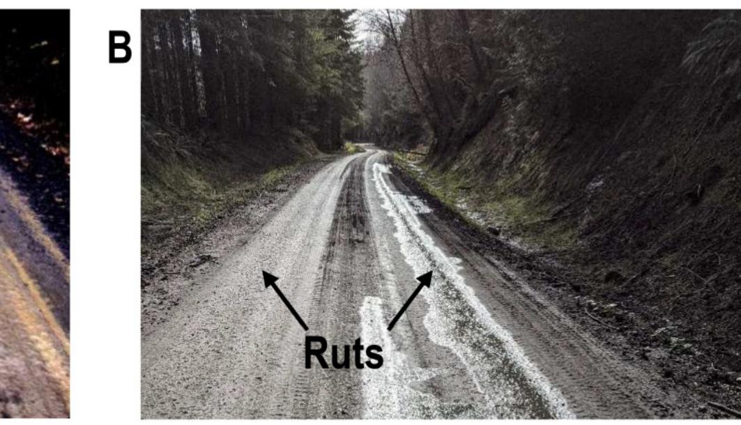 Schematic of a typical forest road and its surroundings.