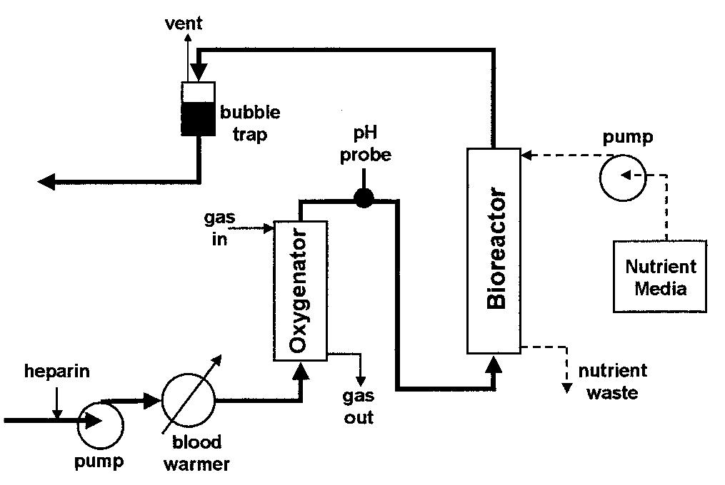 Schematic flow diagram of the excorp medical, inc,