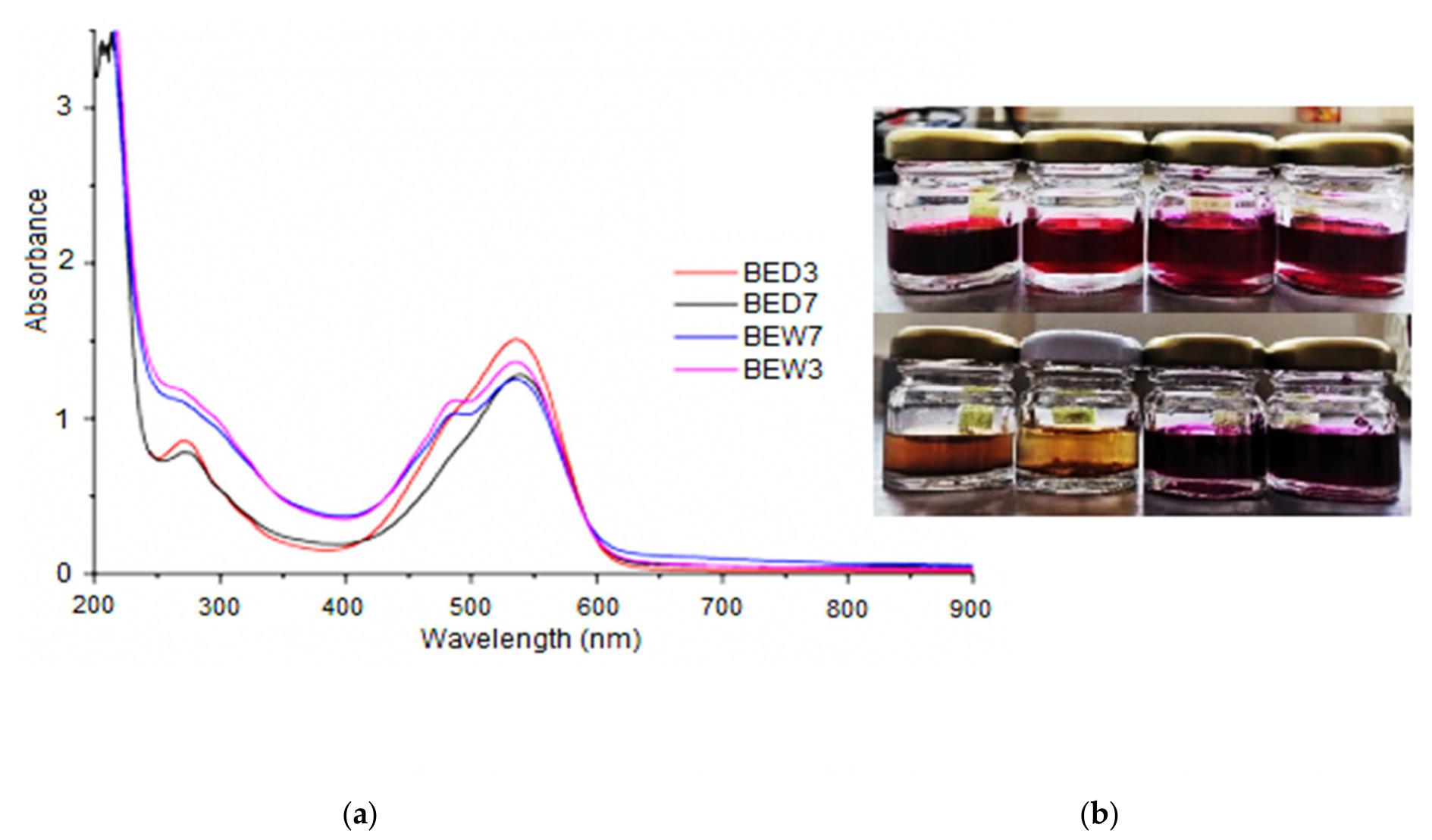 (a) uv-vis spectra of extracts of beet by des (2:1) ph 7