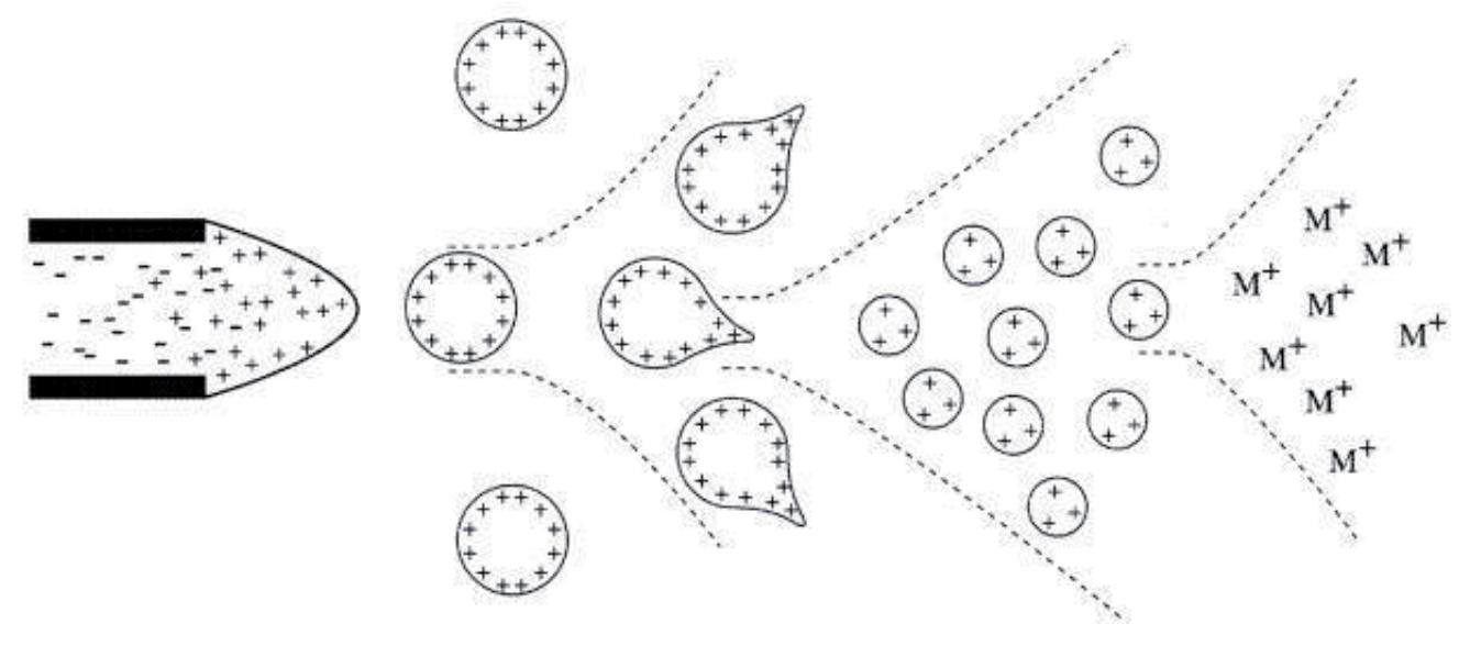 Bri ea mechanism of electrospray ionization process. in