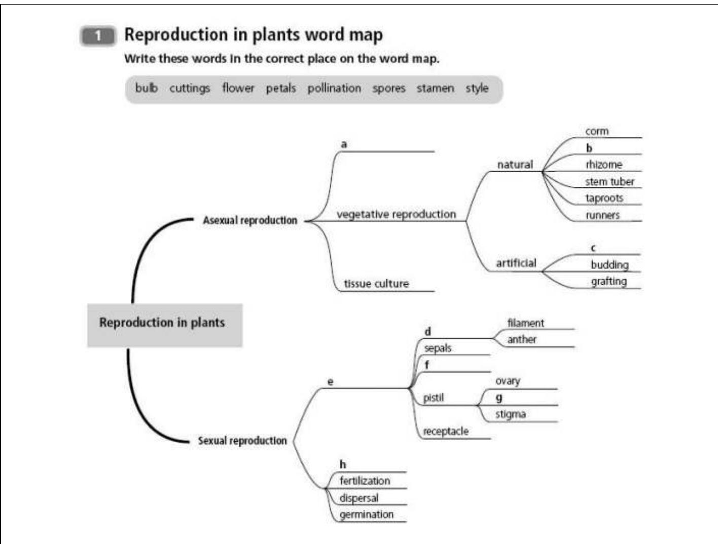 Plant reproduction tree diagram