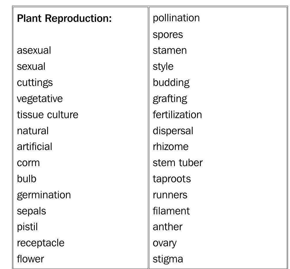 Plant reproduction word list