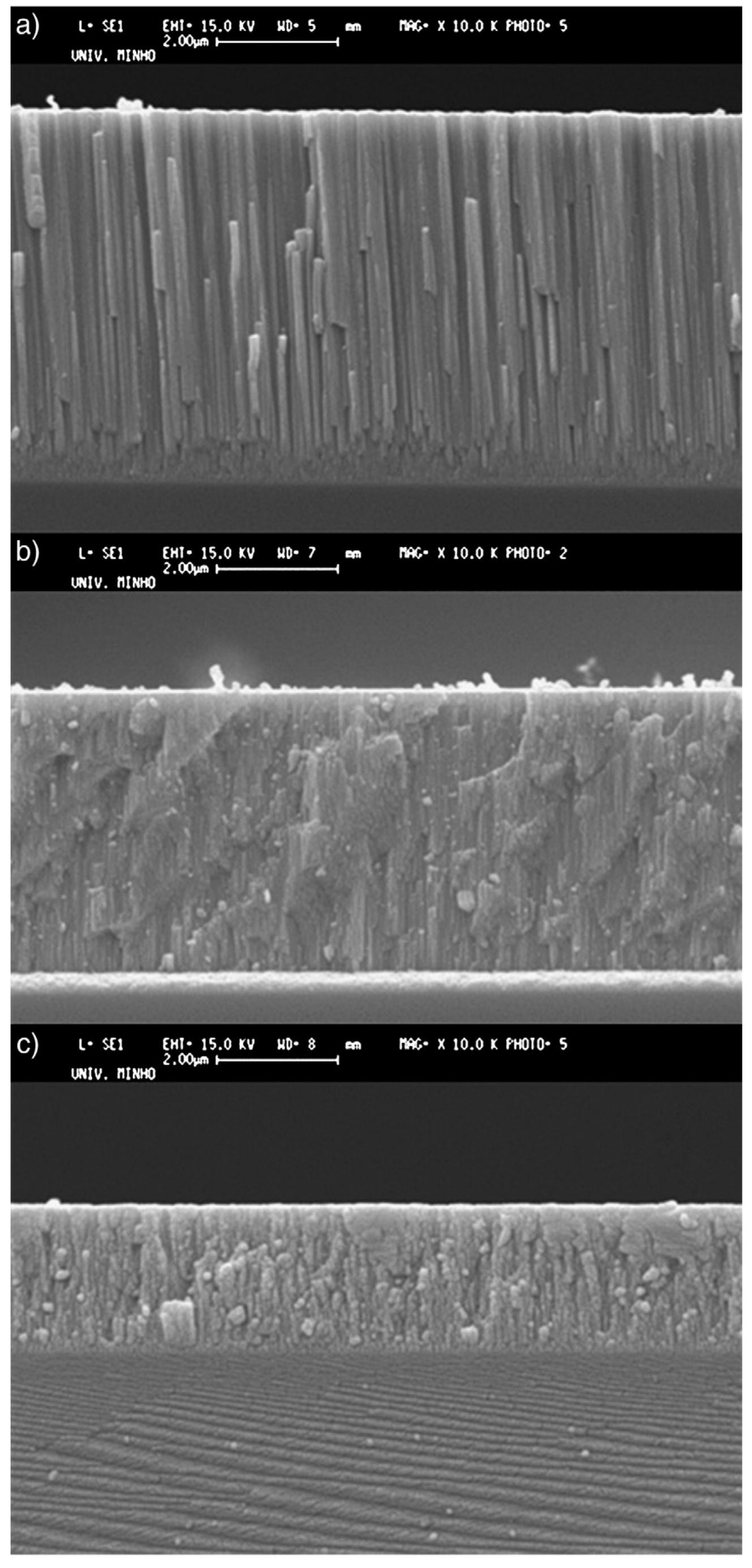 Sem fracture cross-sections of coatings synthesized at