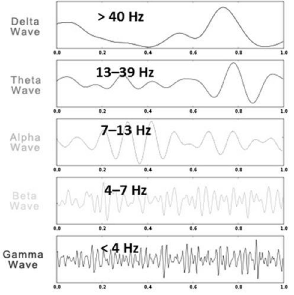 Brain waves classifications according to frequency [hz].