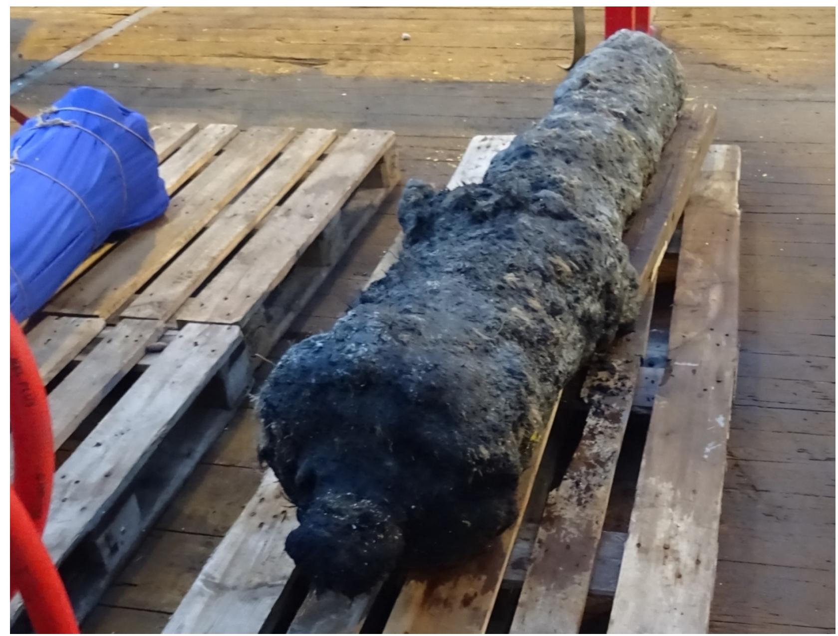 Cannon e04 recovered on deck the whole process of