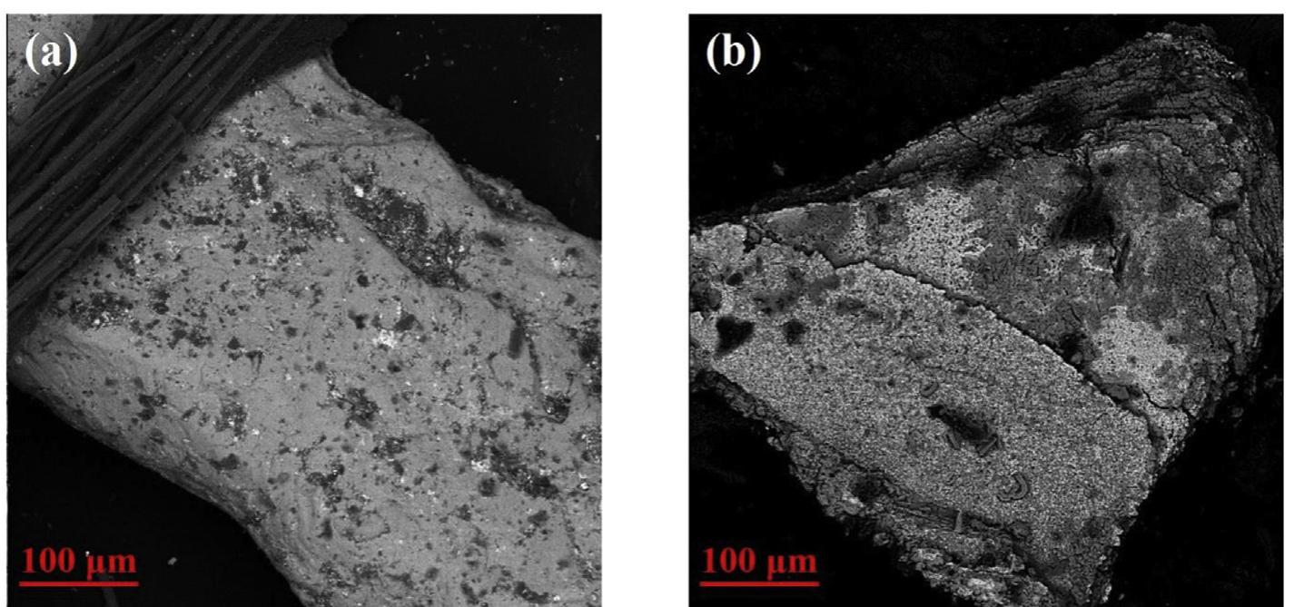 Sem images with 200x magnification before (a) and after (b)
