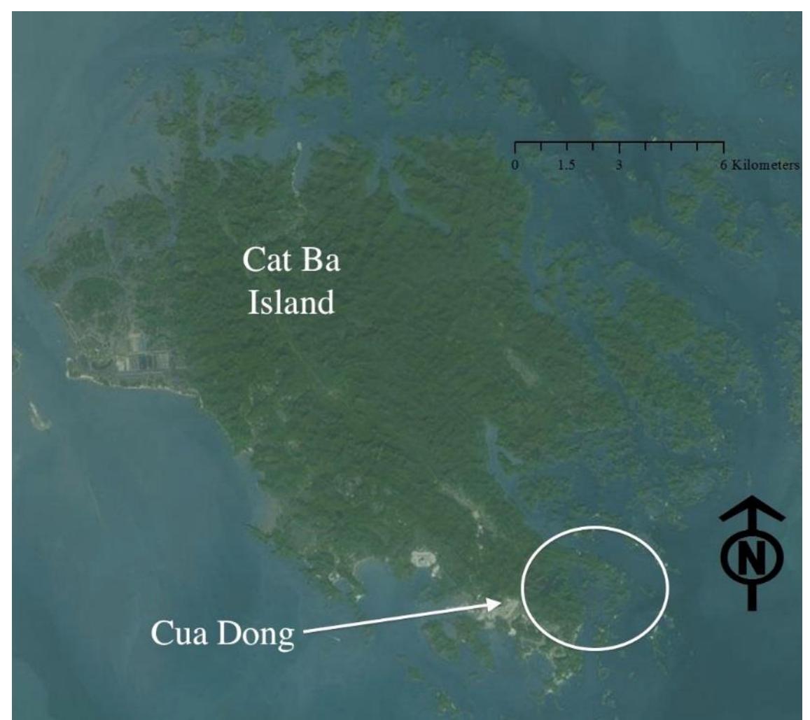 2: map of cat ba island, northeastern vietnam. map source: