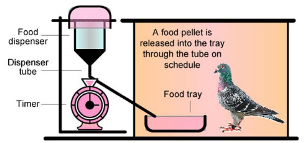 Xiaogang Ruan - Beijing University of Technology