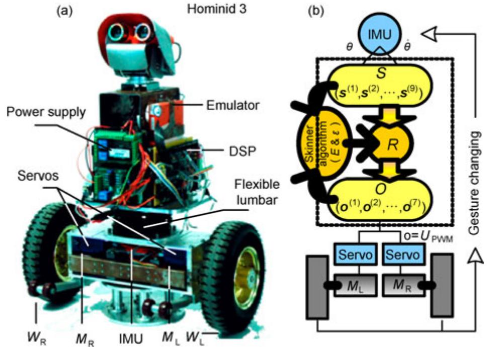 Xiaogang Ruan - Beijing University of Technology