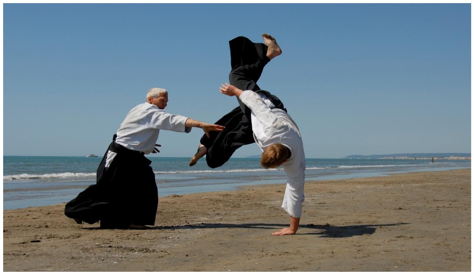 (PDF) Understanding defense through the context of Aikido Japan Up Close
