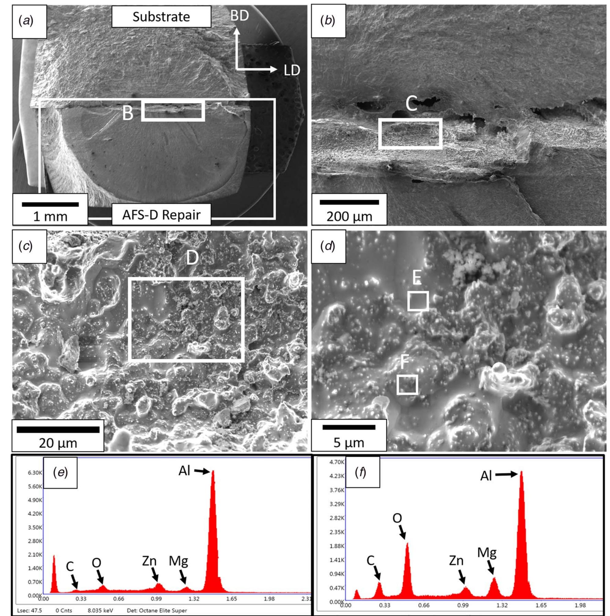 (a) post-mortem sem image of the fracture surface of