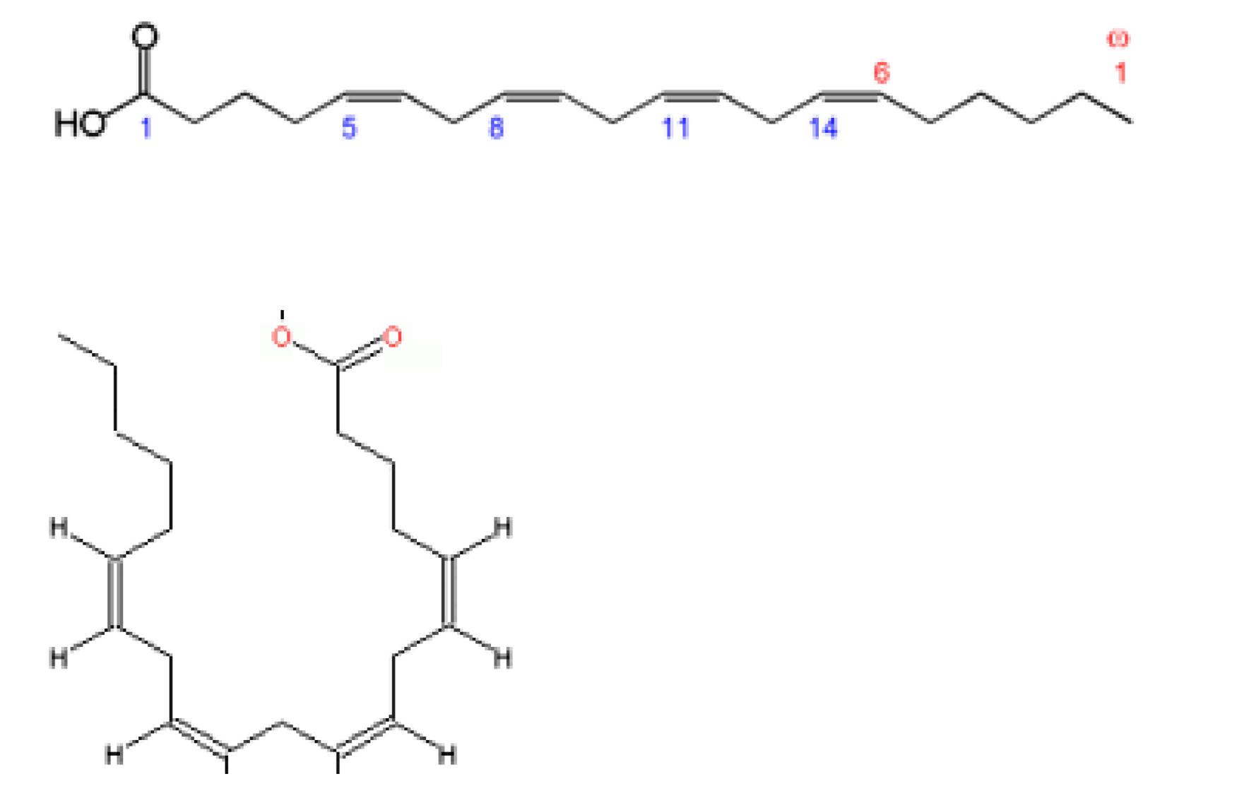Arachidonic acid structure showing linear and hairpin