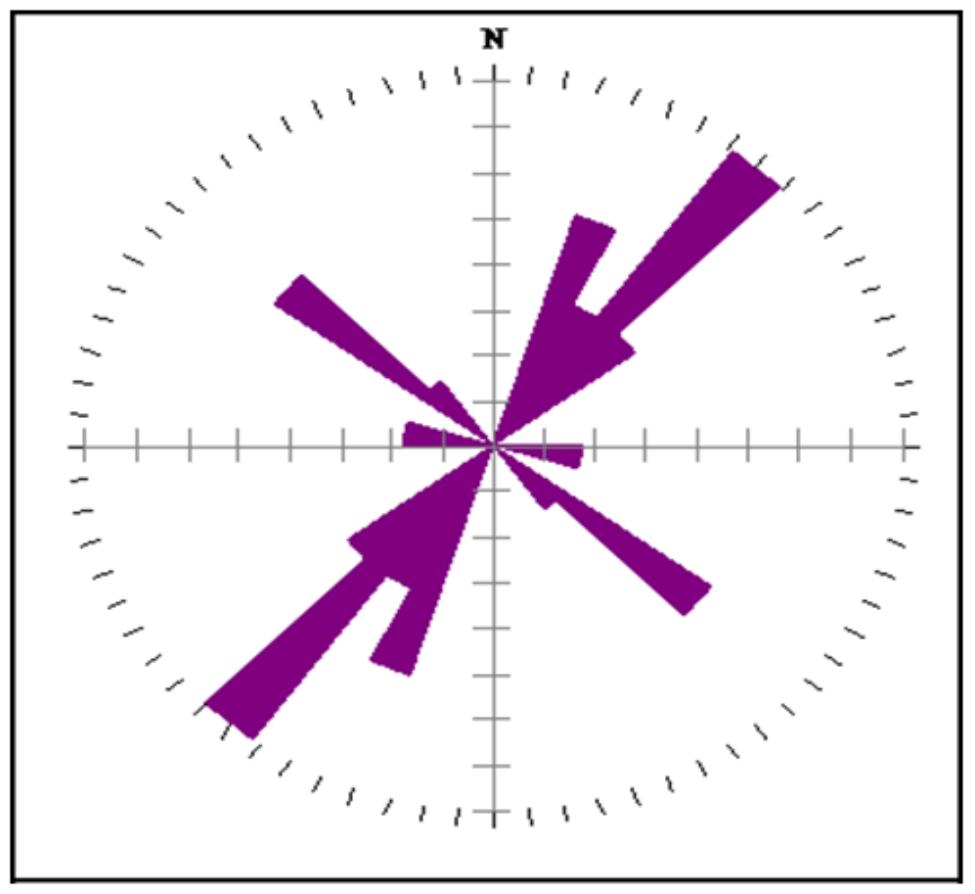 Rose diagram of lineaments obtained from a rock outcrop