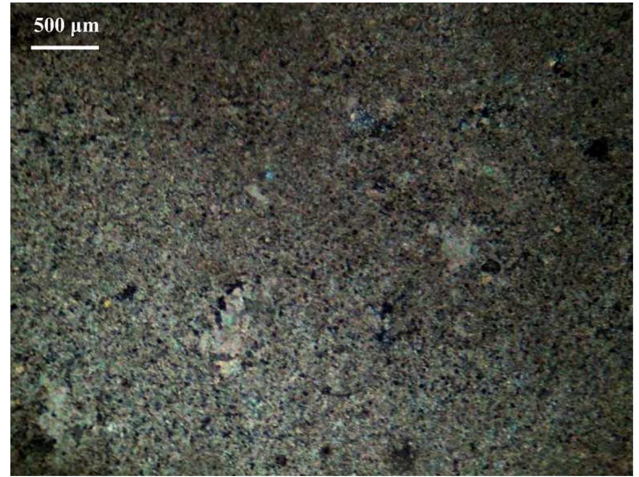 Micrograph of a cross section under the petrographic