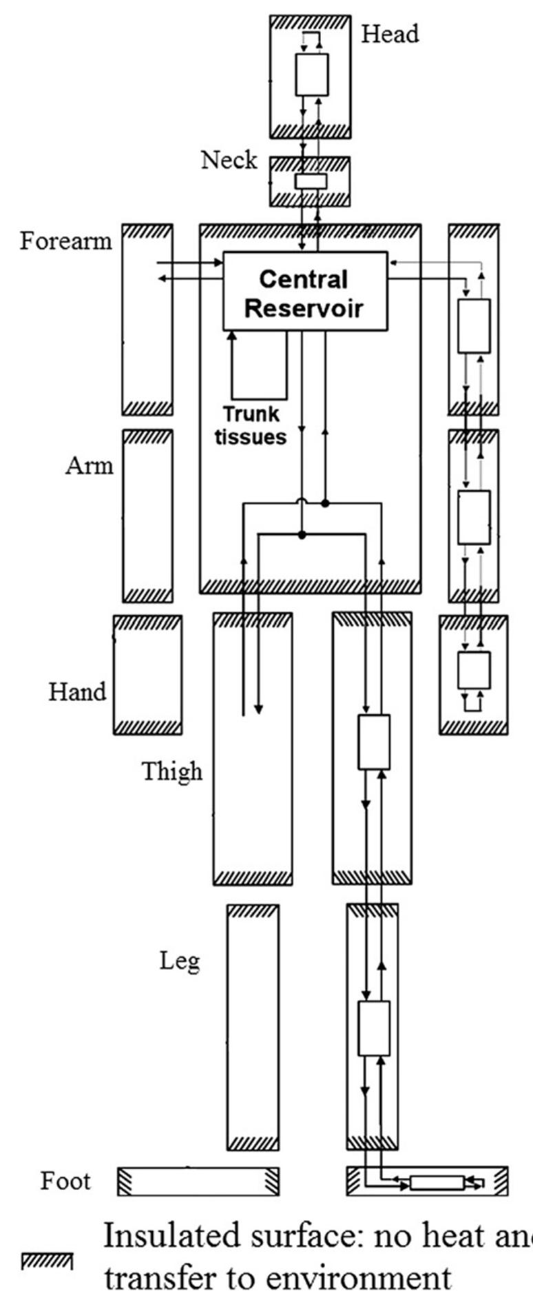 Overview of the passive system model, showing possible