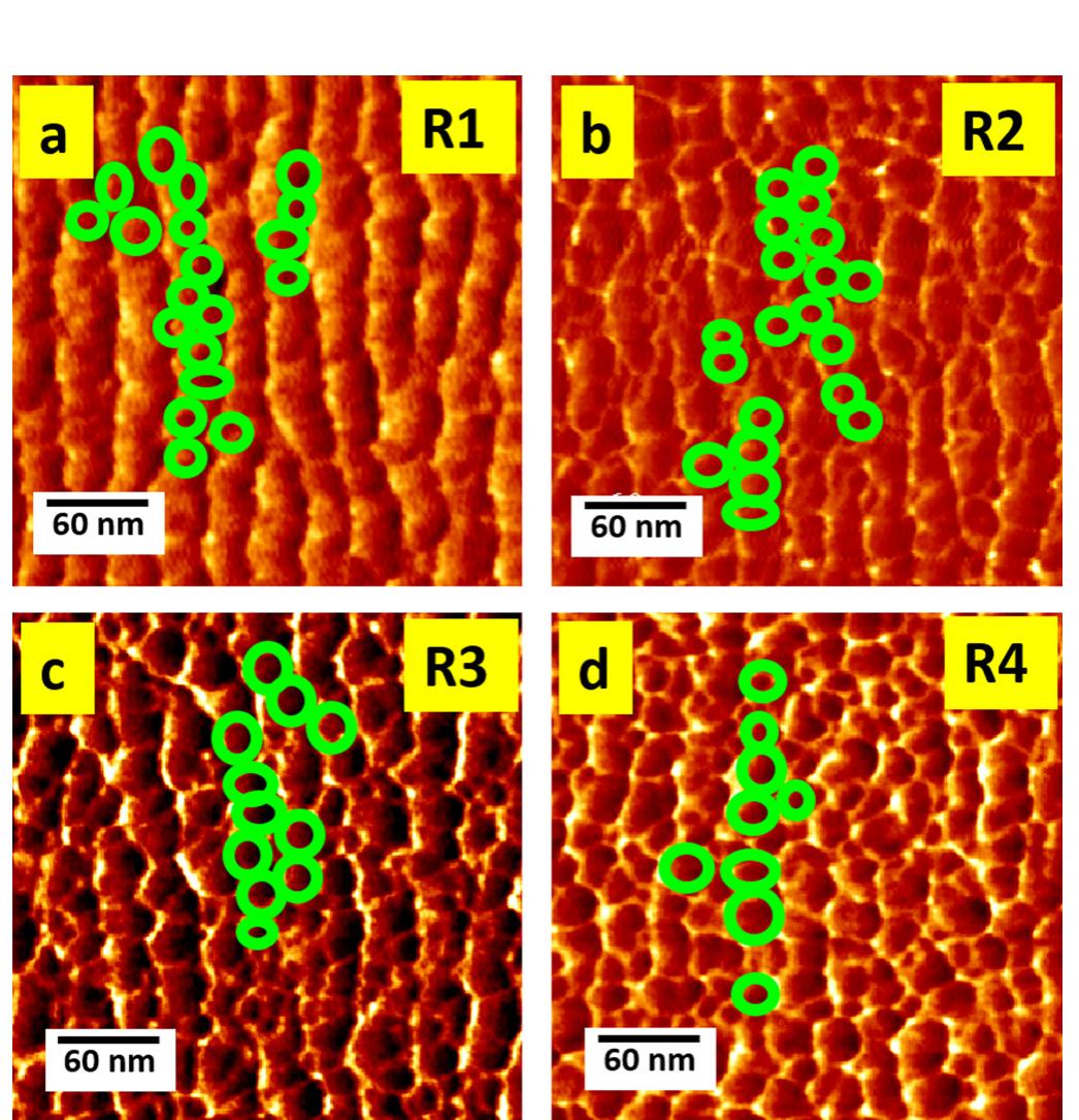 Afm phase contrast images: (a) r1, (b) r2, (c) r3, and (d)