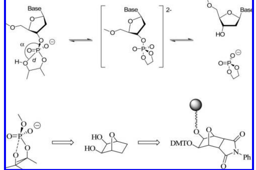 Figure 3 - UnyLinker: An Efficient and Scaleable Synthesis