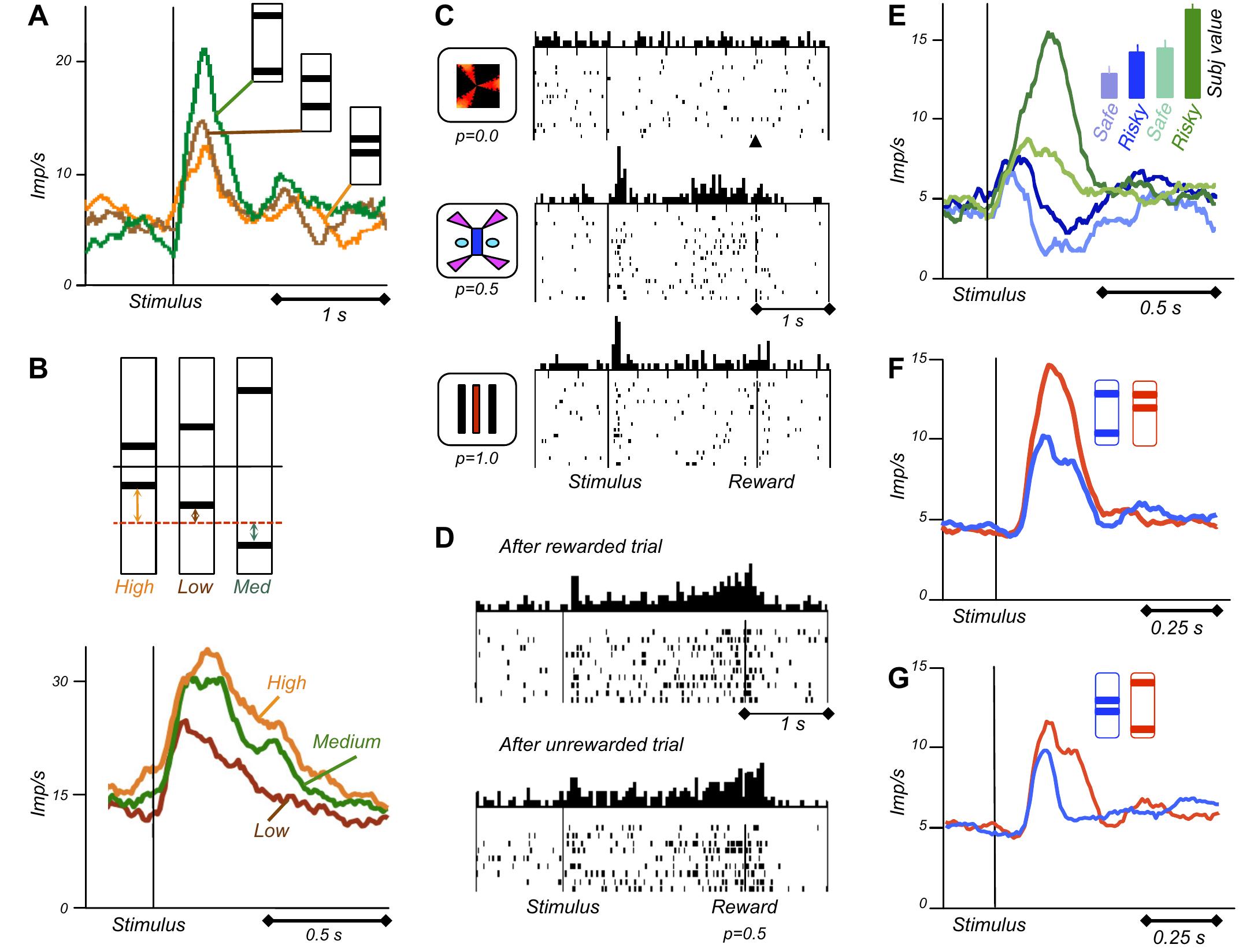 Neuronal risk processing in monkeys. a: coding of risk in