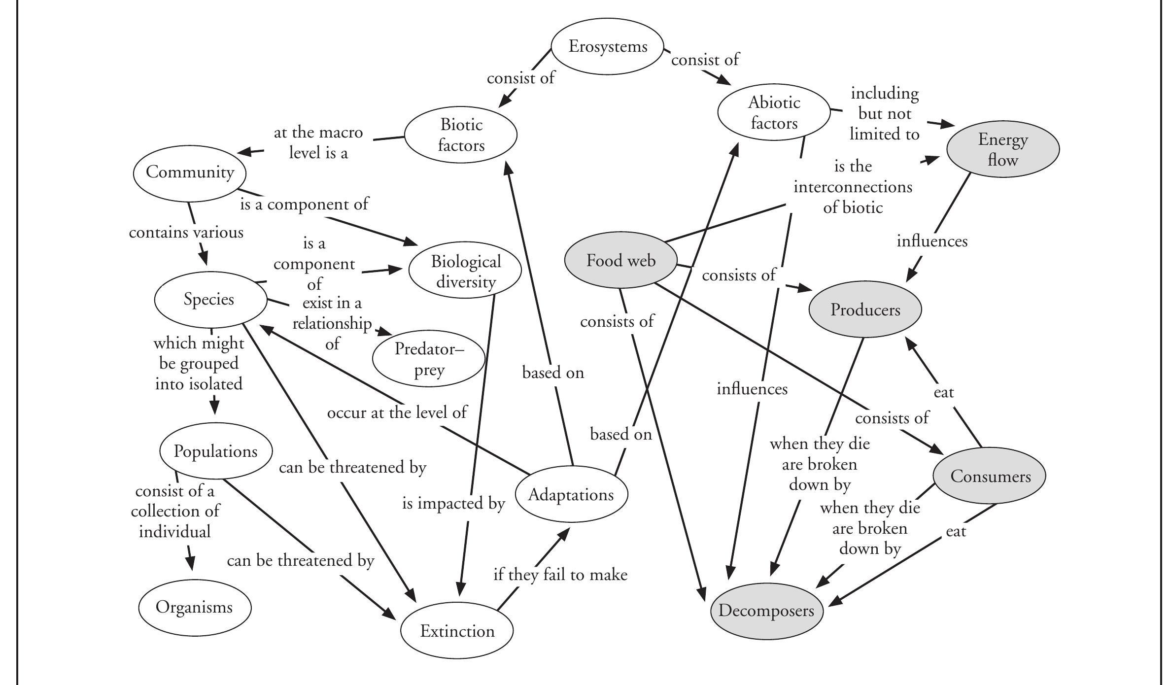 Participant concept map of the food web concept cluster.
