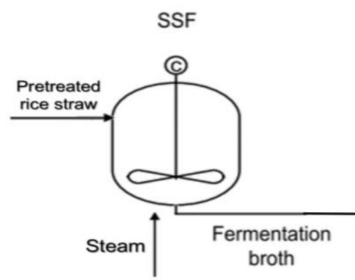 Process flow diagram of rice straw hydrolysis and