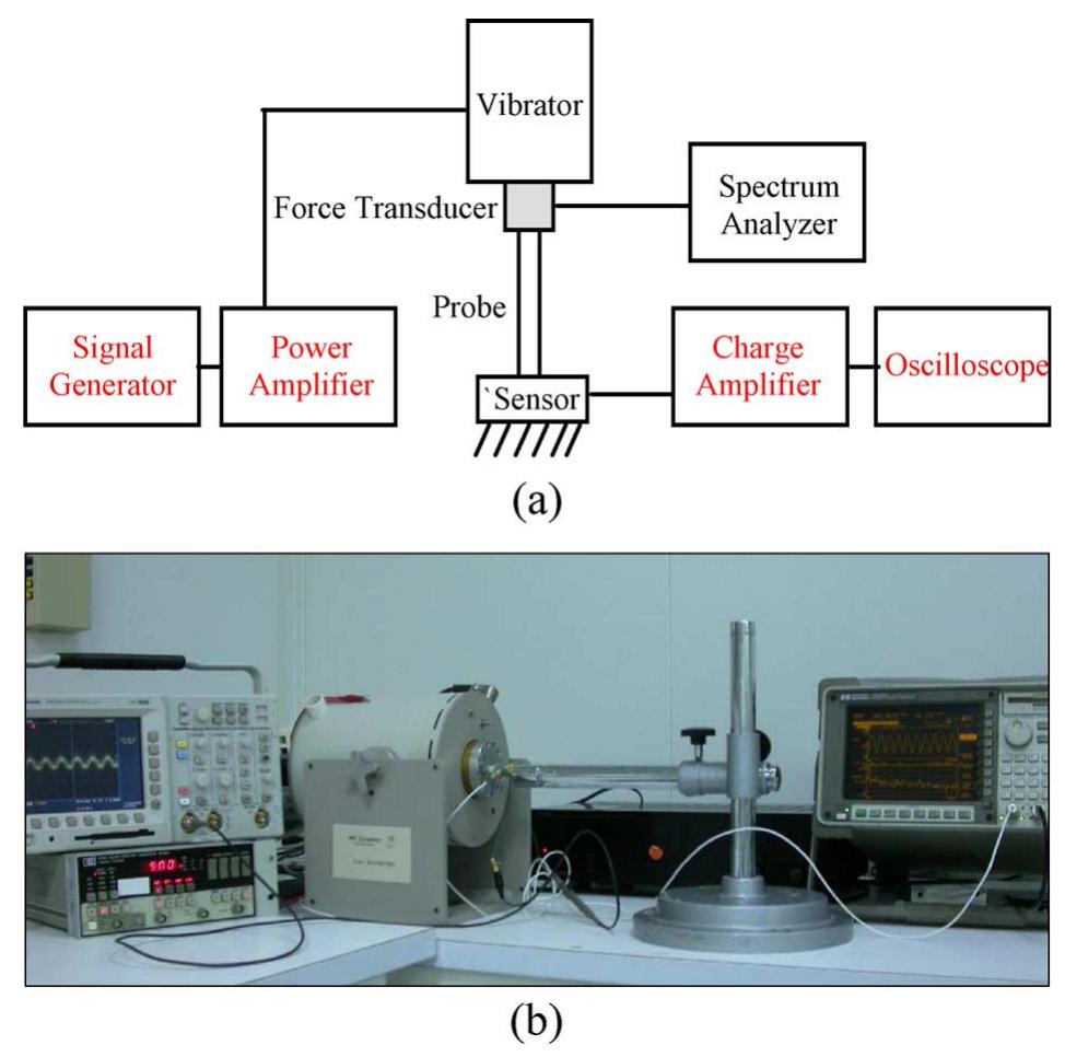 Measurement setup. (a) schematic diagram of the apparatus