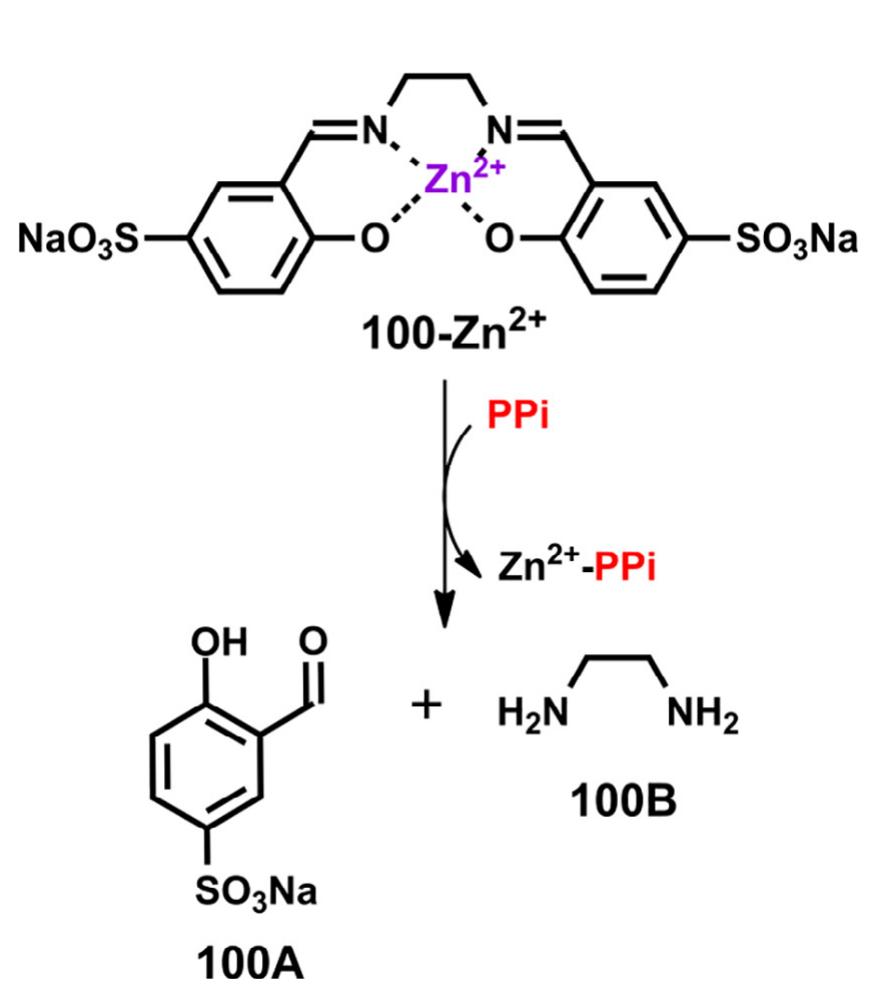 Structure of the zn?* complex of receptor 100 (counter