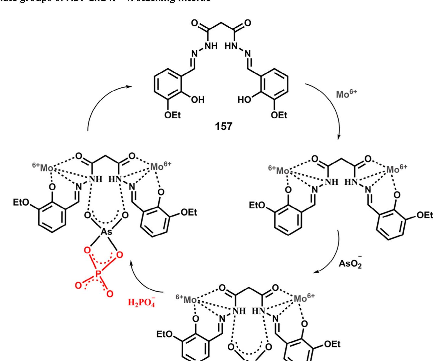 Structure of the receptor 158. fig. 95. structure of the