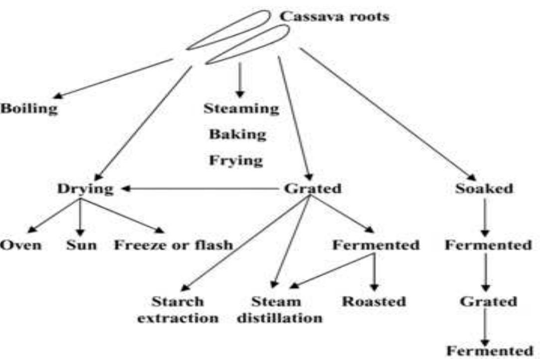 (PDF) Cyanide in Cassava: A Review