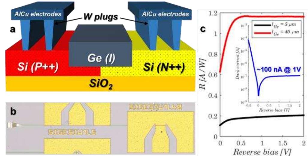 A schematics of pin photodetector with lateral silicon-