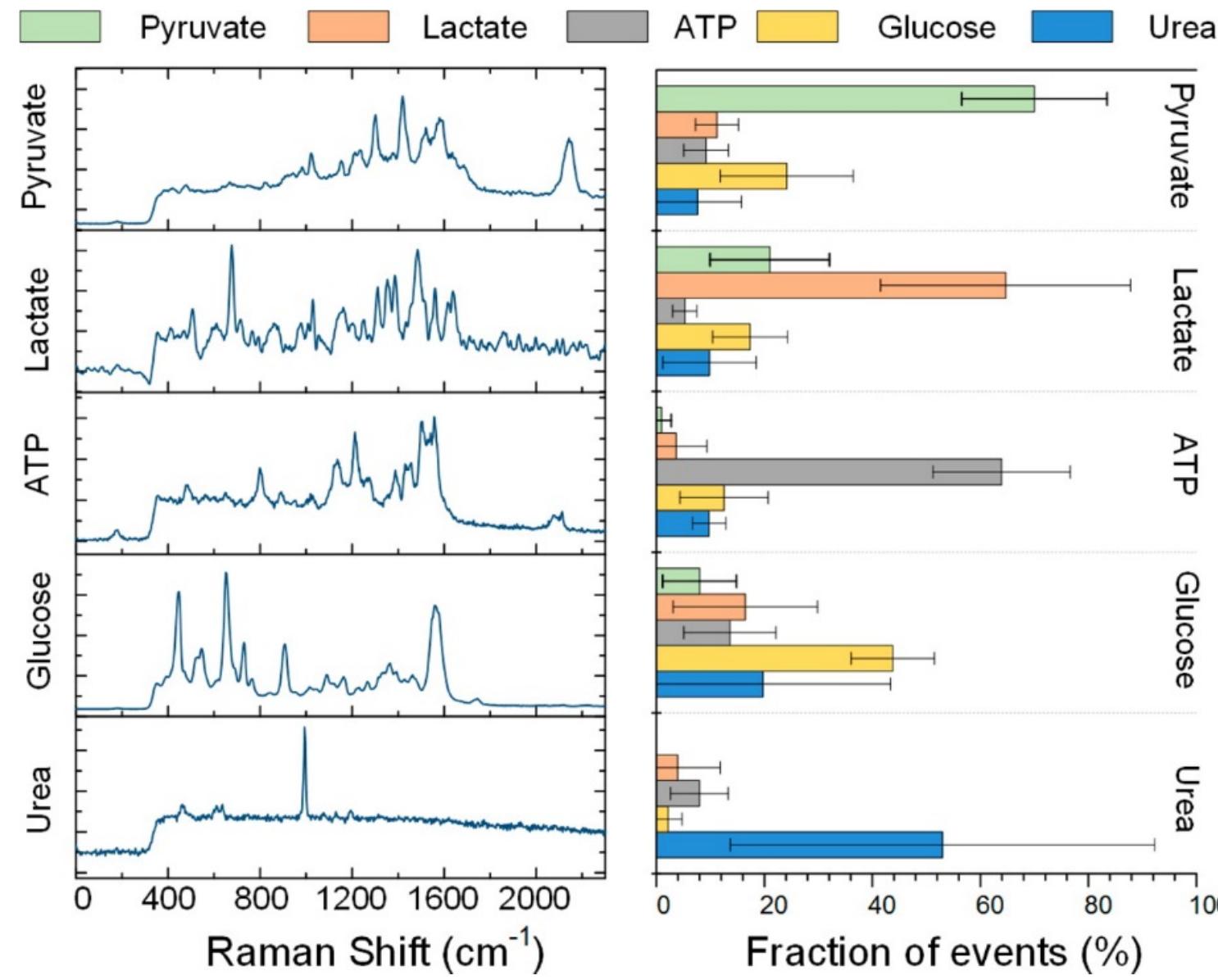Sers spectra of pyruvate, l-lactate, adenosine triphosphate