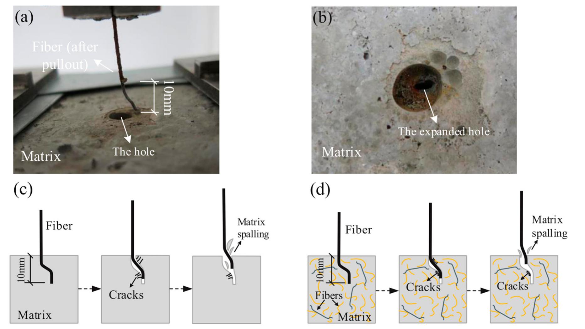 The modes of failure in pull-out test: (a) matrix surface