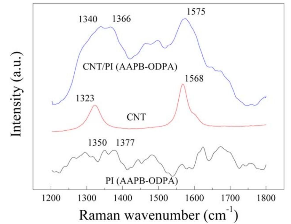 Raman spectra of cnts, pi (aapb-odpa) and cnt/pi (aapb-